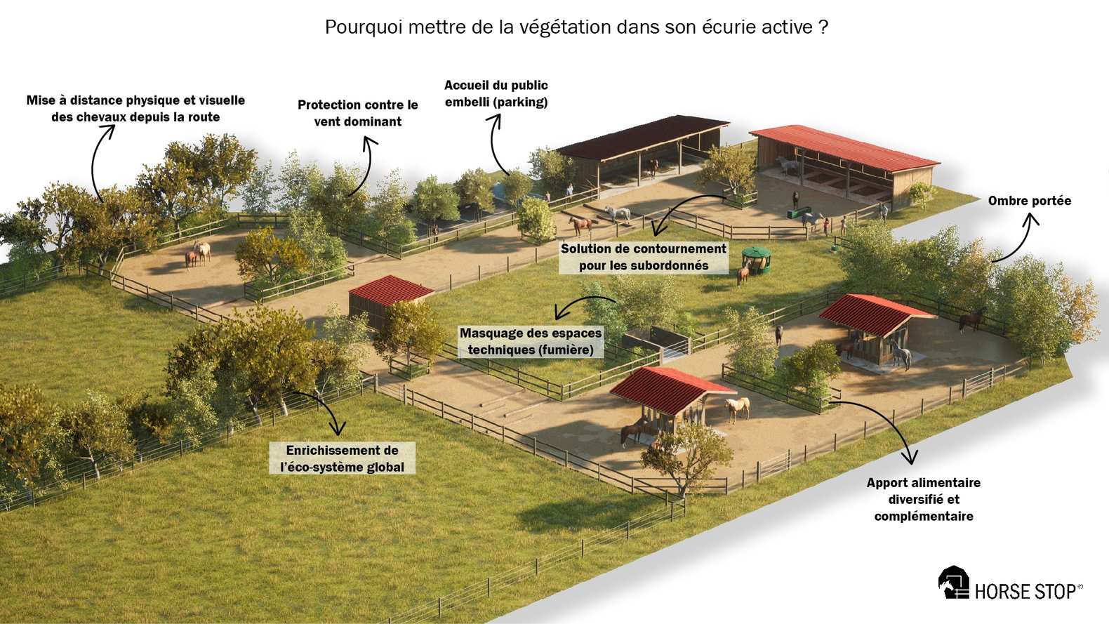 Bien-être et végétation en écurie active